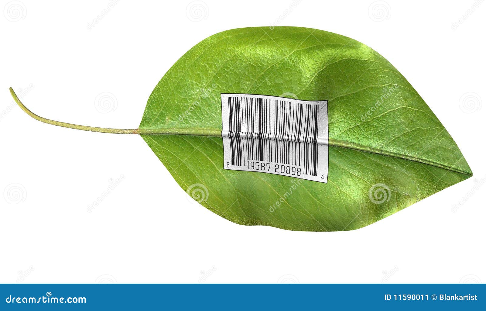 Flora Barcode Stock Illustrations – 34 Flora Barcode Stock ...