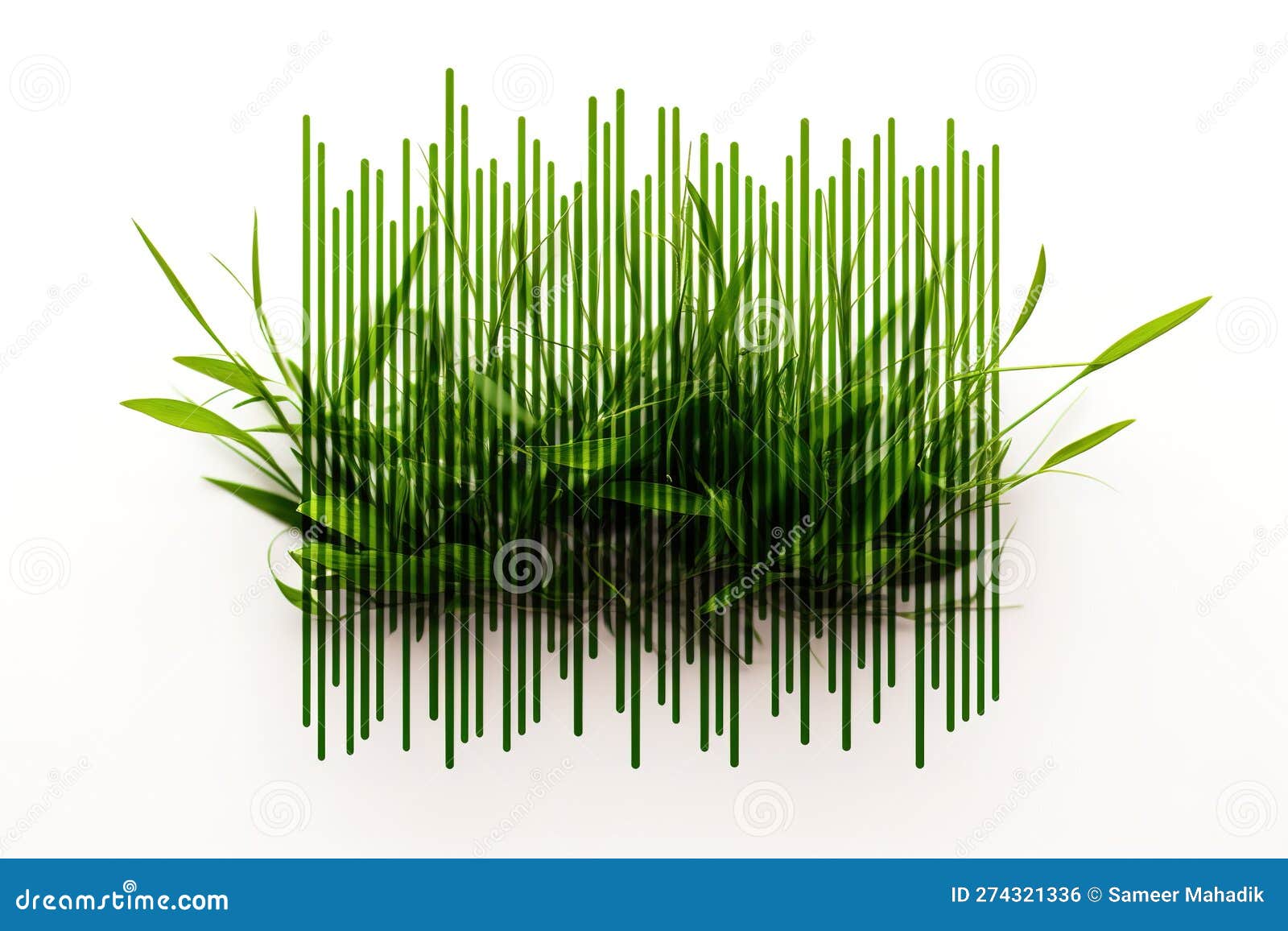 Barcode, Made of Green Grass and Sprout Isolated on a White Background ...