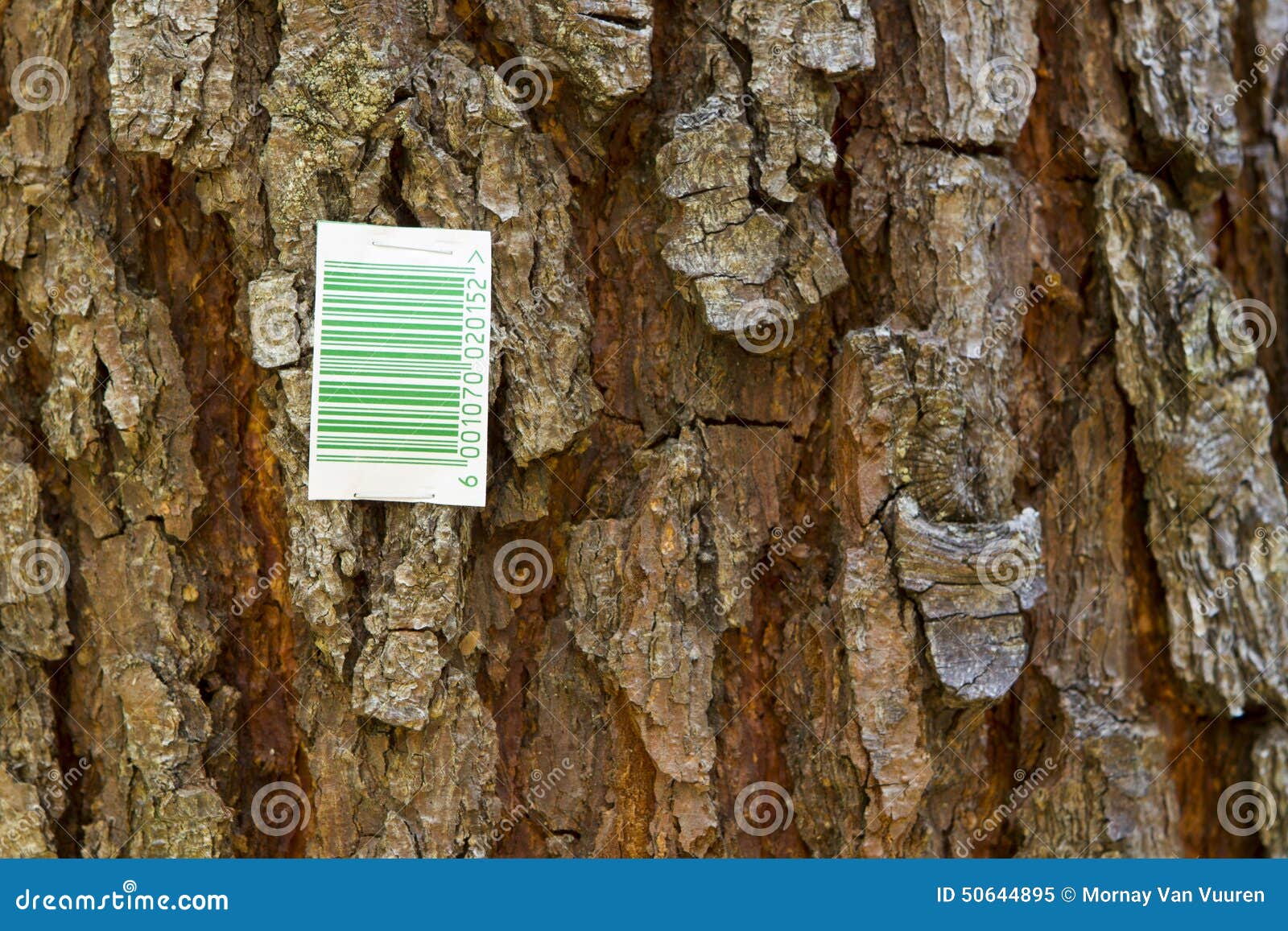 Barcode on a tree stock image. Image of recycling, barcode - 50644895