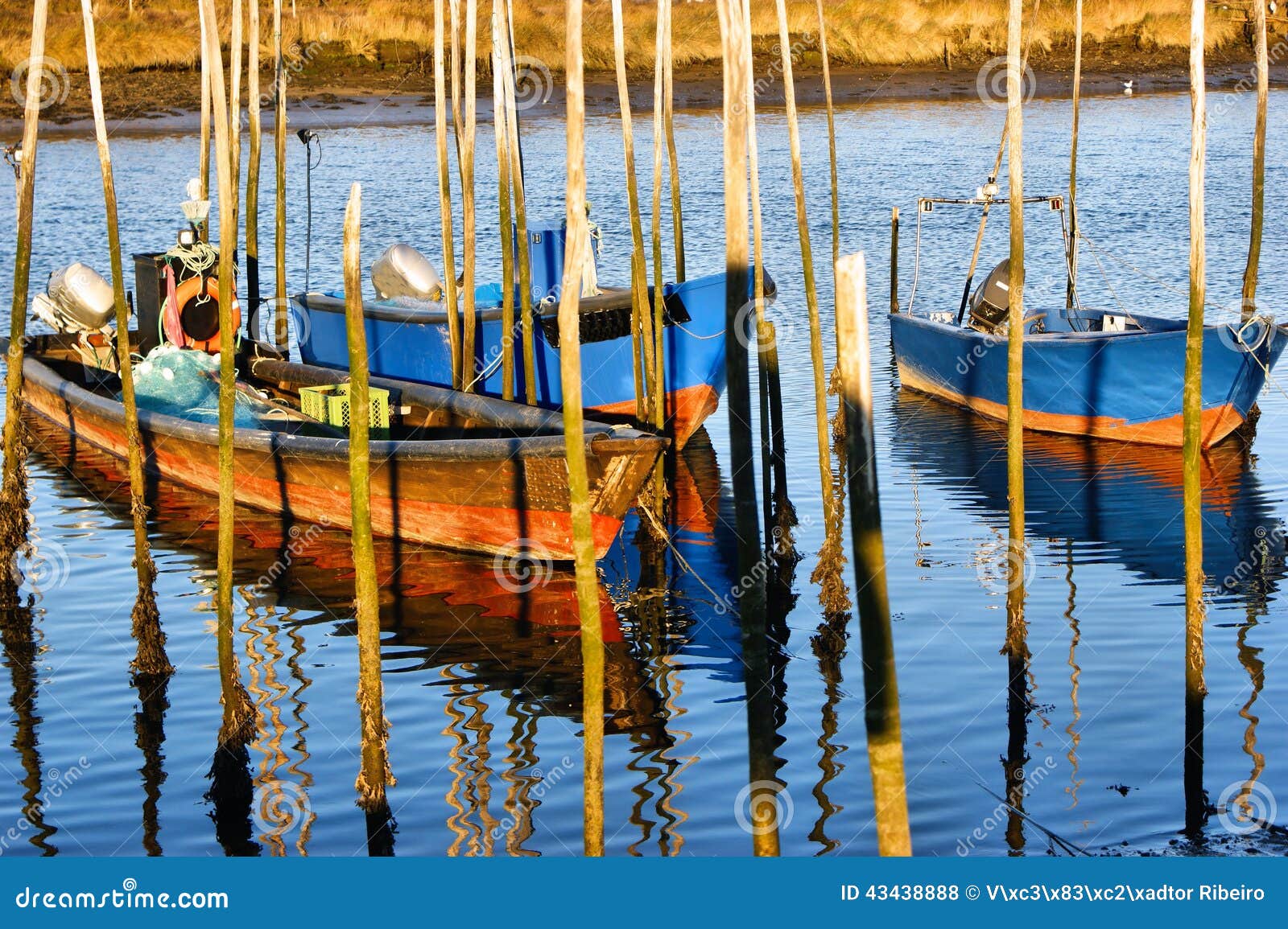 Barcos De Madeira Tradicionais No Rio De Lima Foto de Stock - Imagem de ...