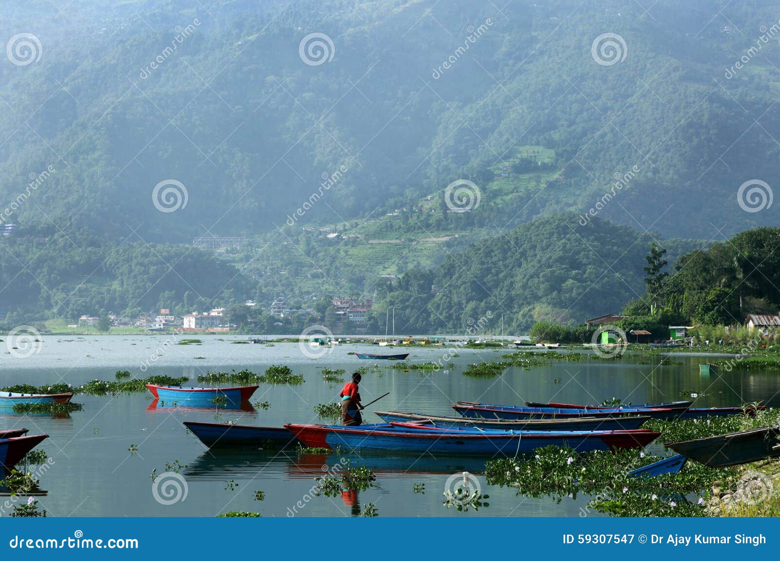 Barcos En El Lago Extenso Phewa Fotografía editorial - Imagen de punto ...