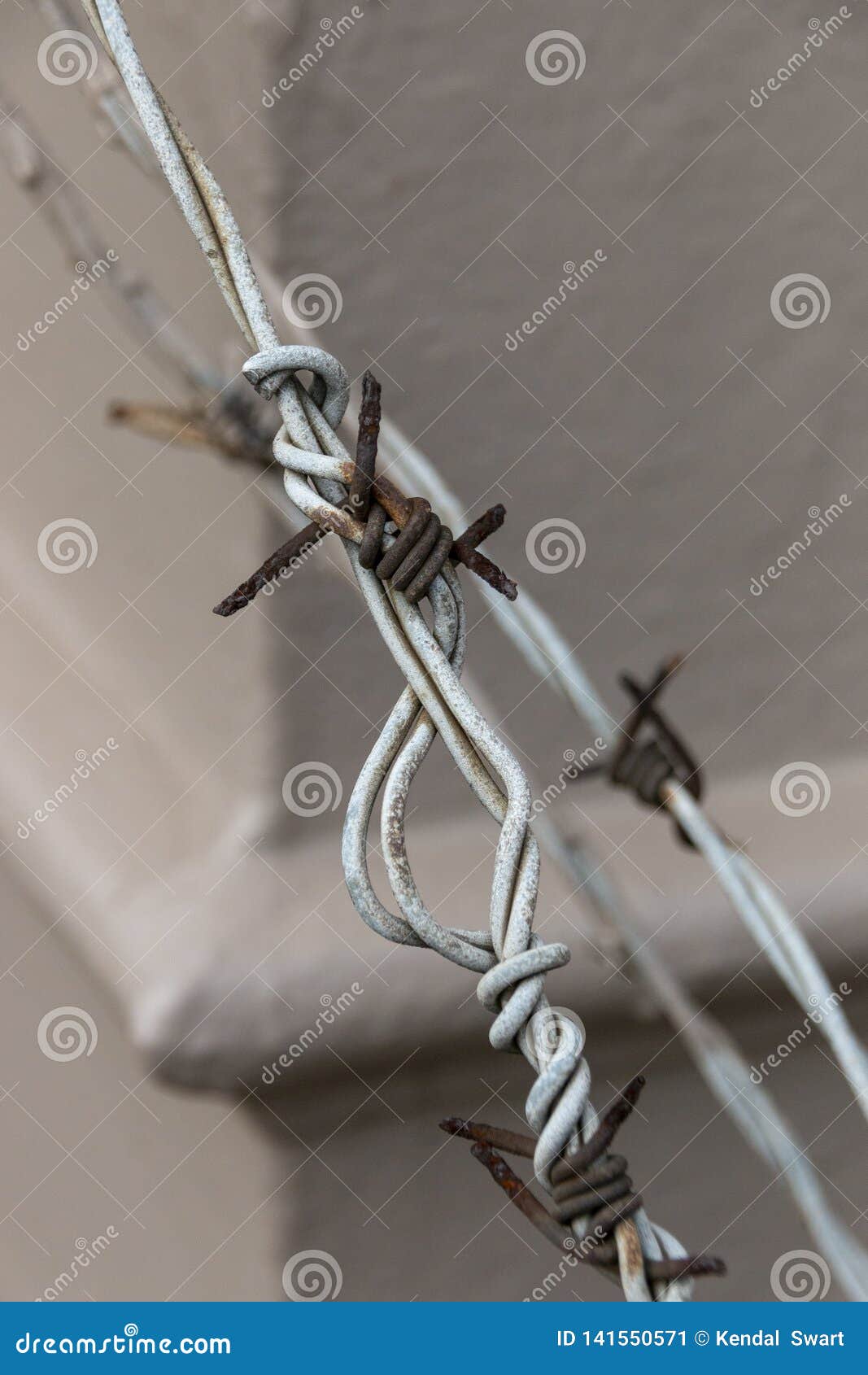 Barded Wire fence stock image. Image of outside, backgrounds - 141550571