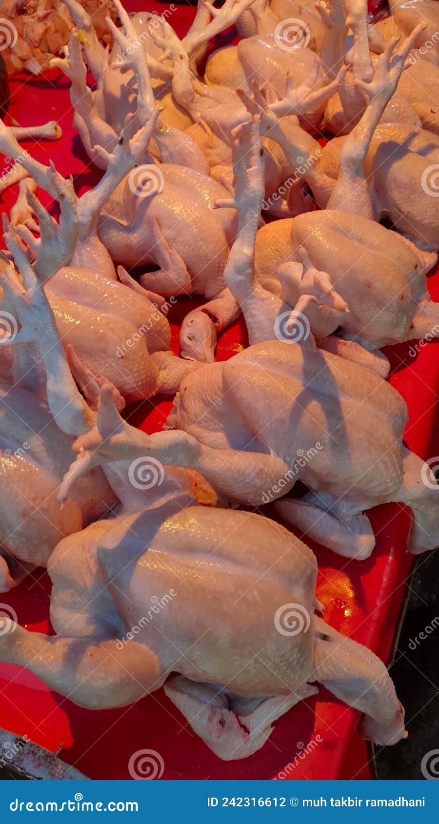 Bare Chicken, Ready To Cook Stock Photo - Image of meat, cuisine: 242316612