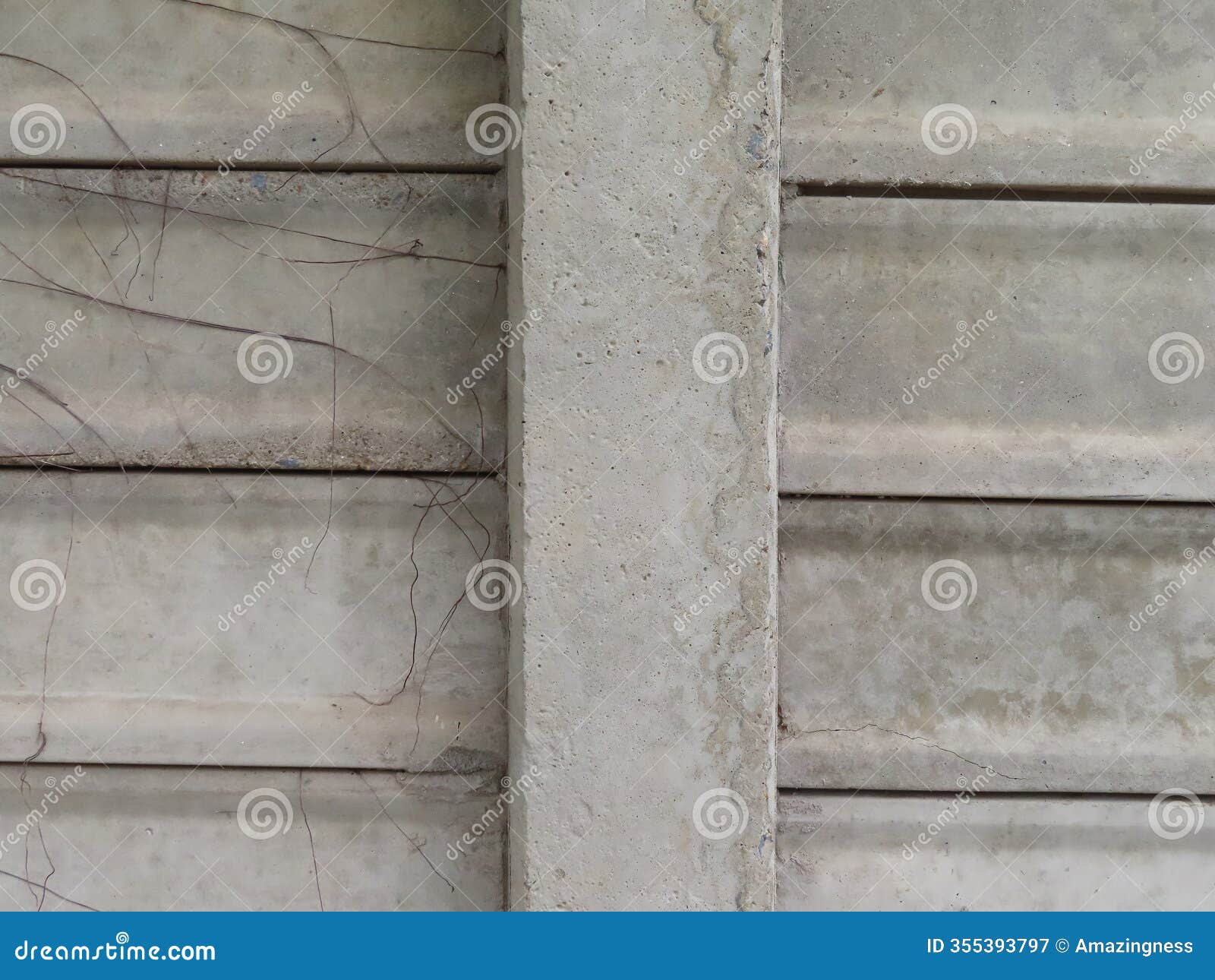 The Bare Concrete Wall Has Tree Roots Creeping Along Its Surface Stock ...