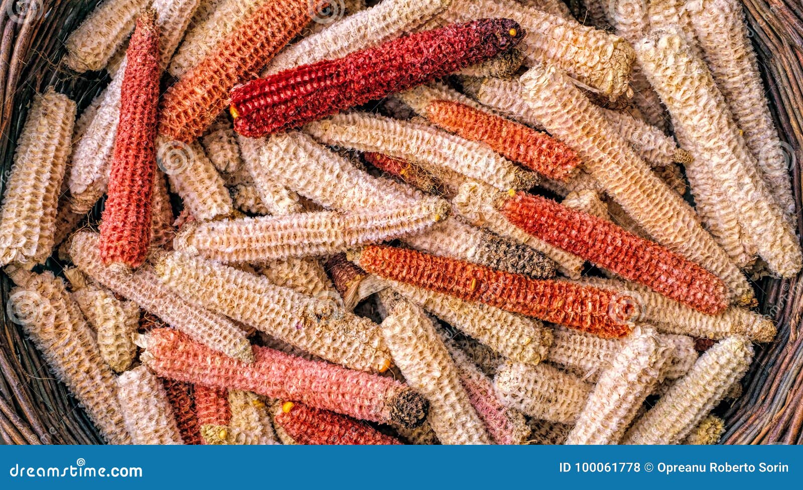 Bare Corn Cobs in the Wicker Basket Stock Photo - Image of agriculture ...