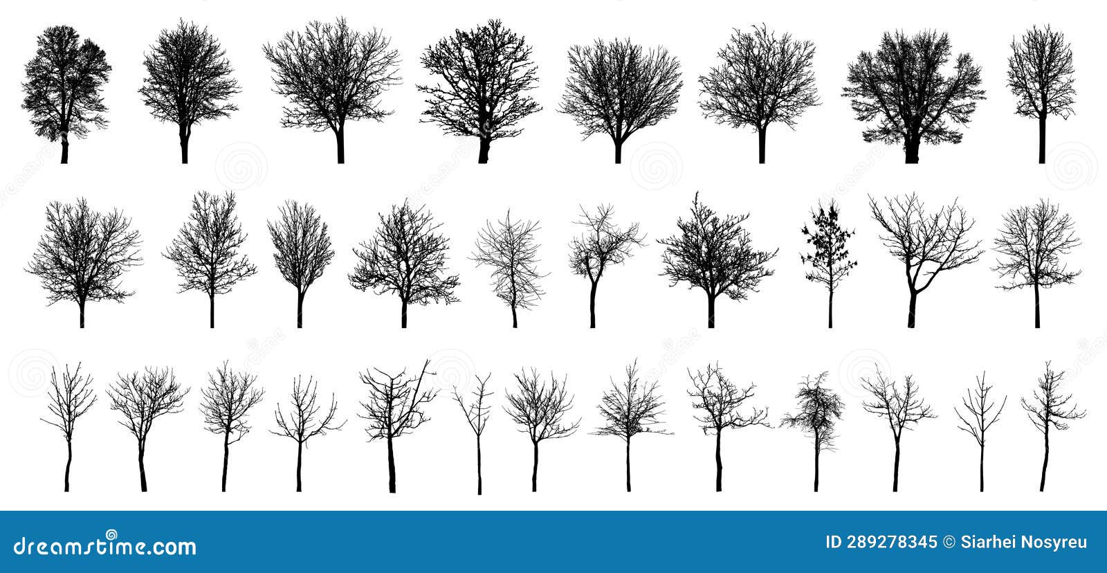 Bare Deciduous Trees Silhouette, Set. Beautiful Different Leafless ...