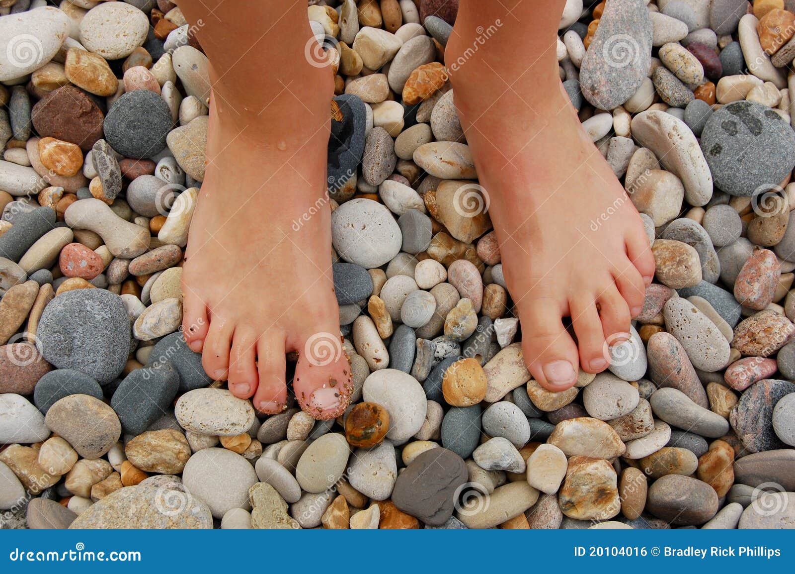 Bare feet on beach stock photo. Image of rocks, rocky - 20104016