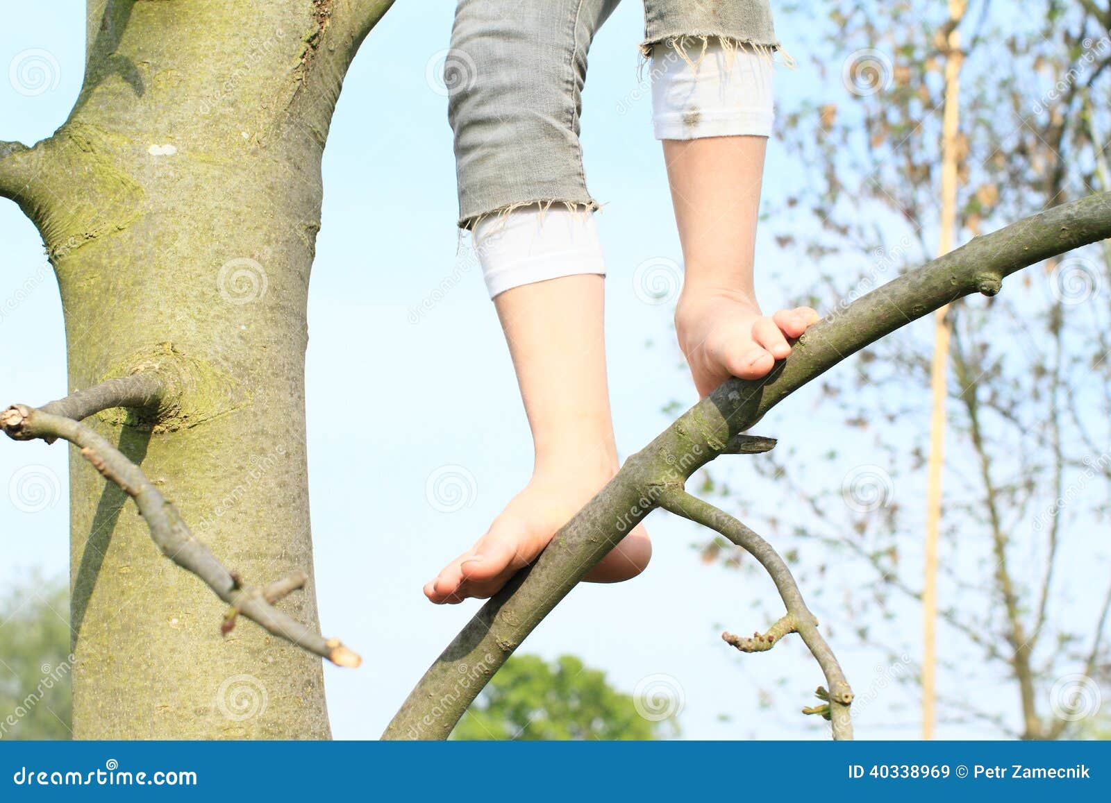 Bare feet on branch stock image. Image of barefooted - 40338969