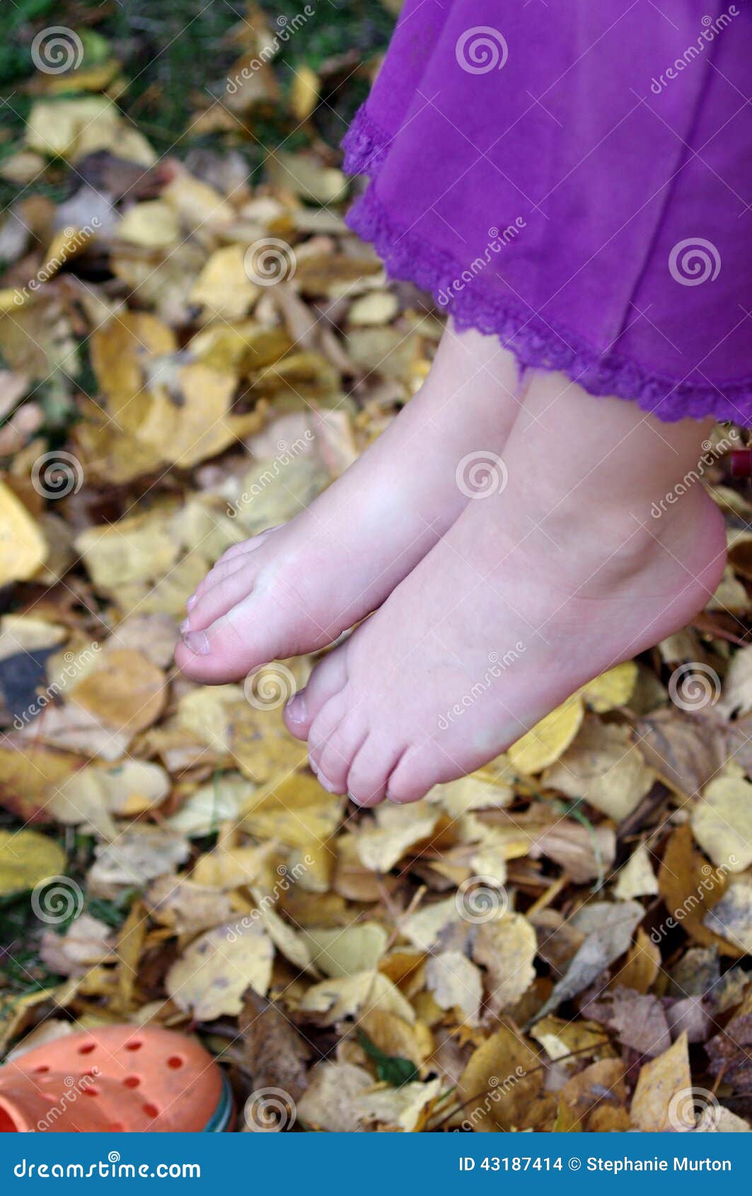 Bare Feet in the fall stock photo. Image of orange, feet - 43187414