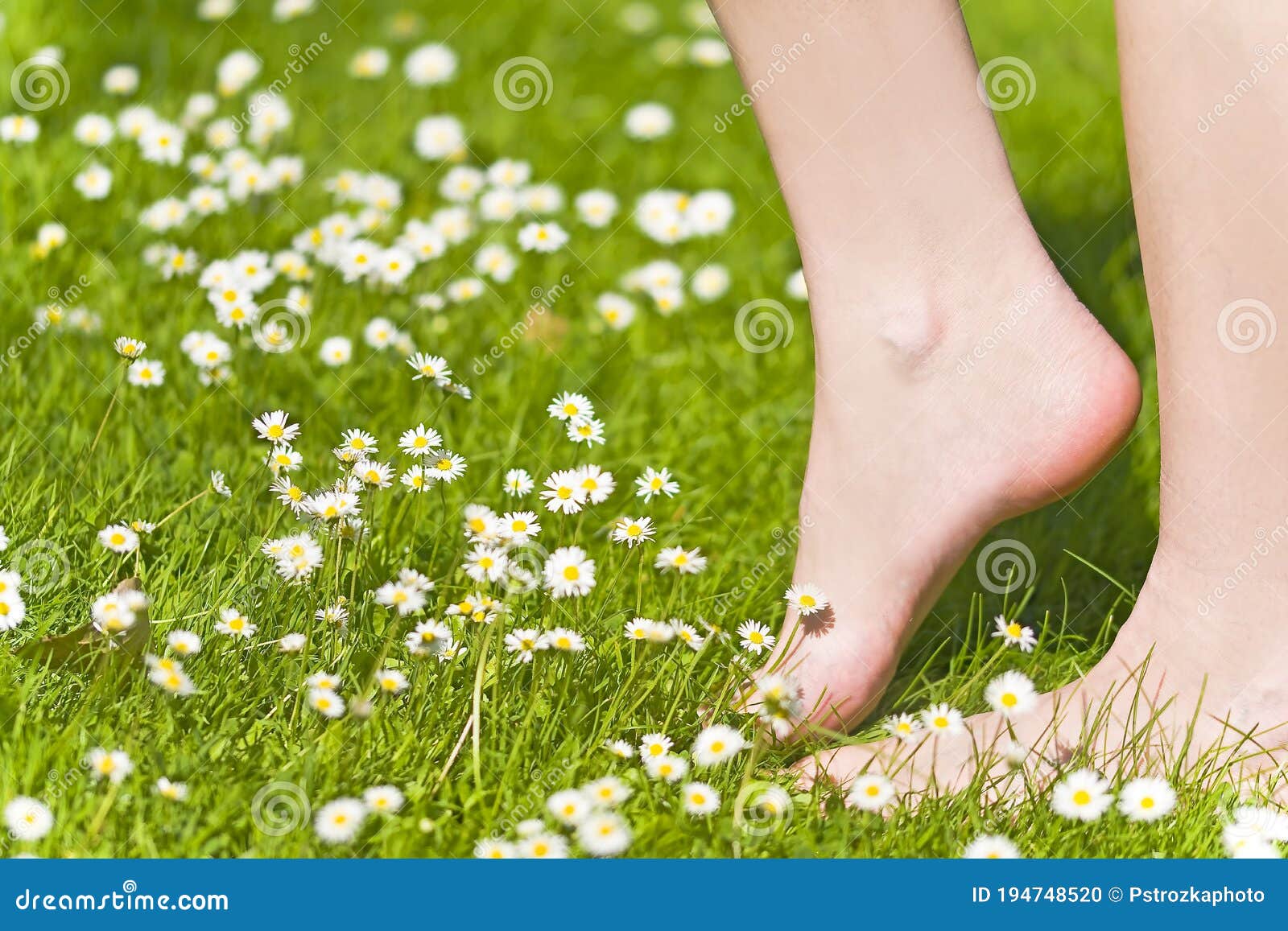 Bare feet on the grass stock photo. Image of grass, concept - 194748520