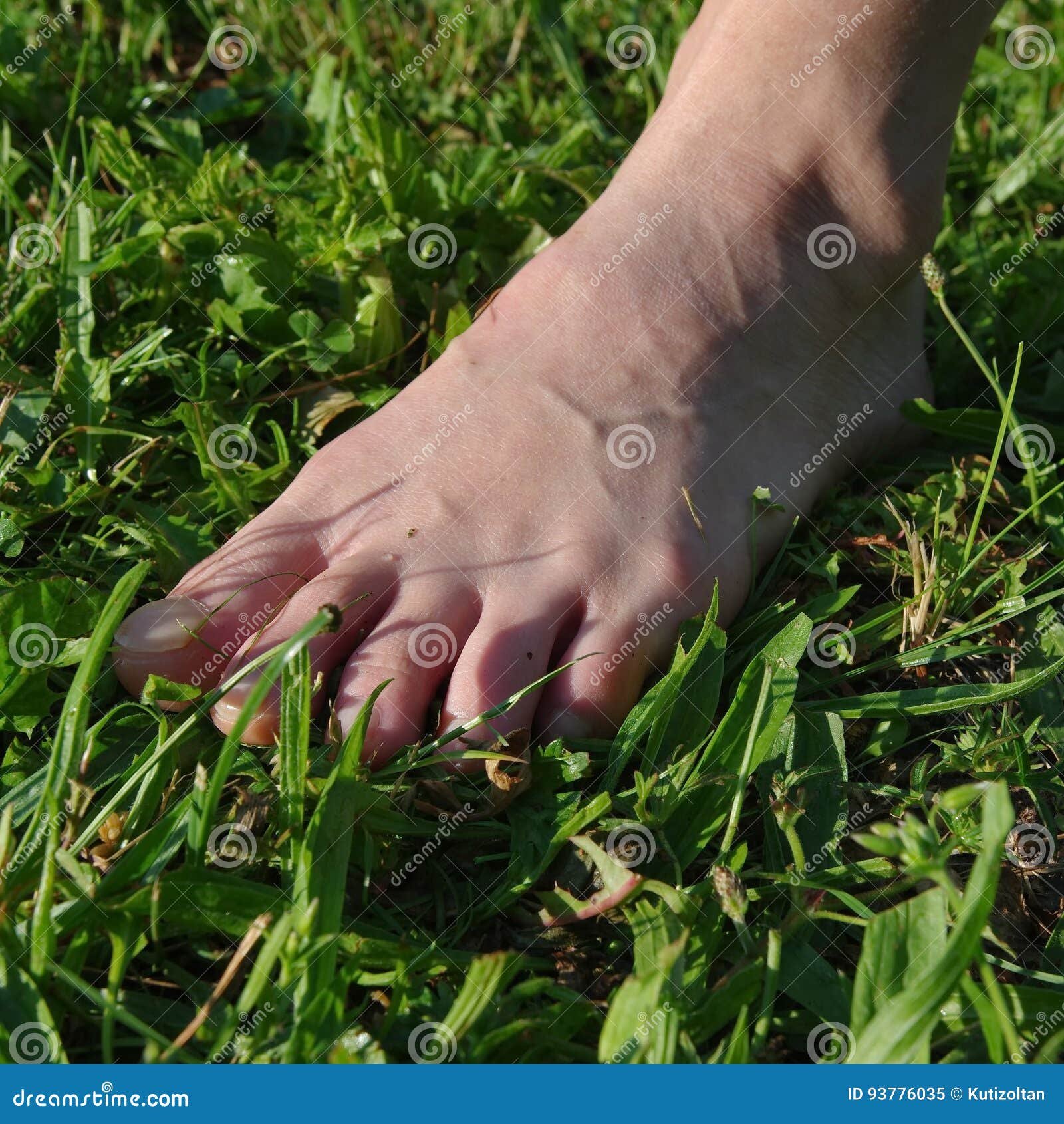 Bare feet in the grass stock image. Image of feed, lying - 93776035