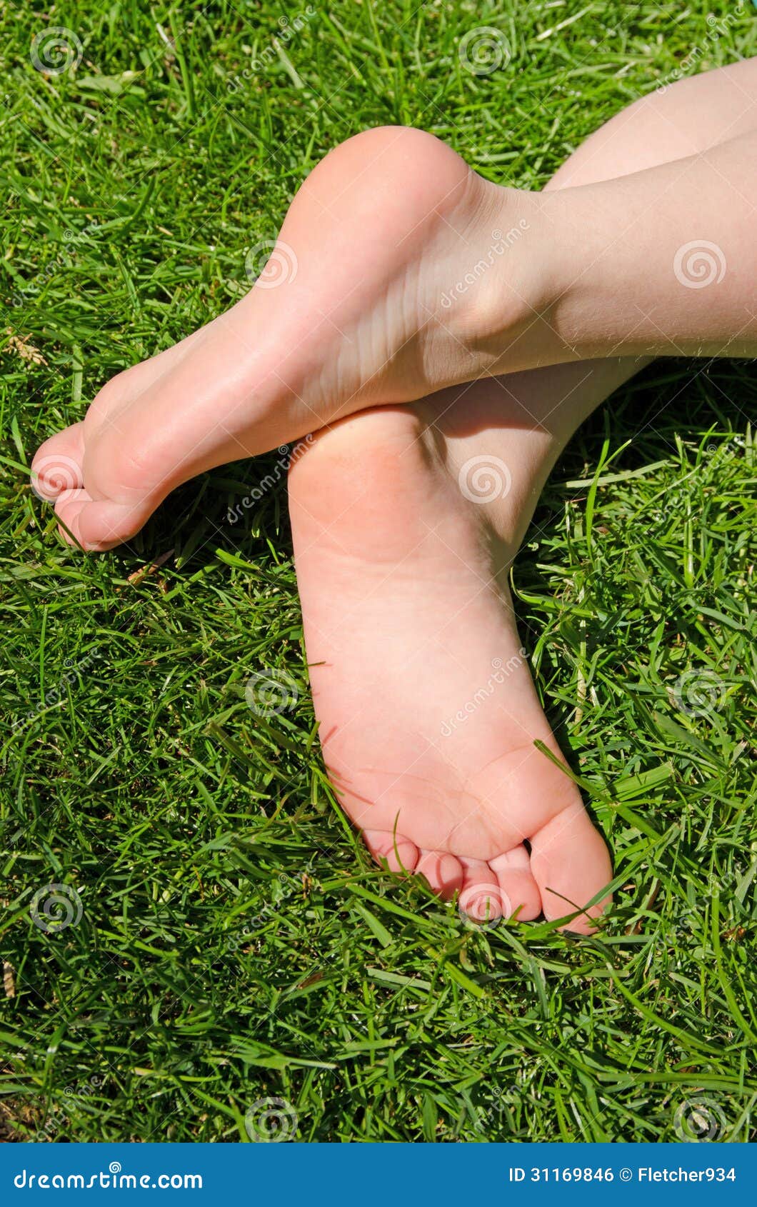 Bare feet in green grass stock photo. Image of healthy - 31169846