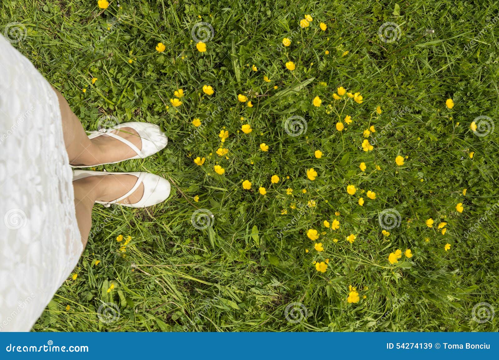 Bare feet on green grass stock image. Image of barefoot - 54274139