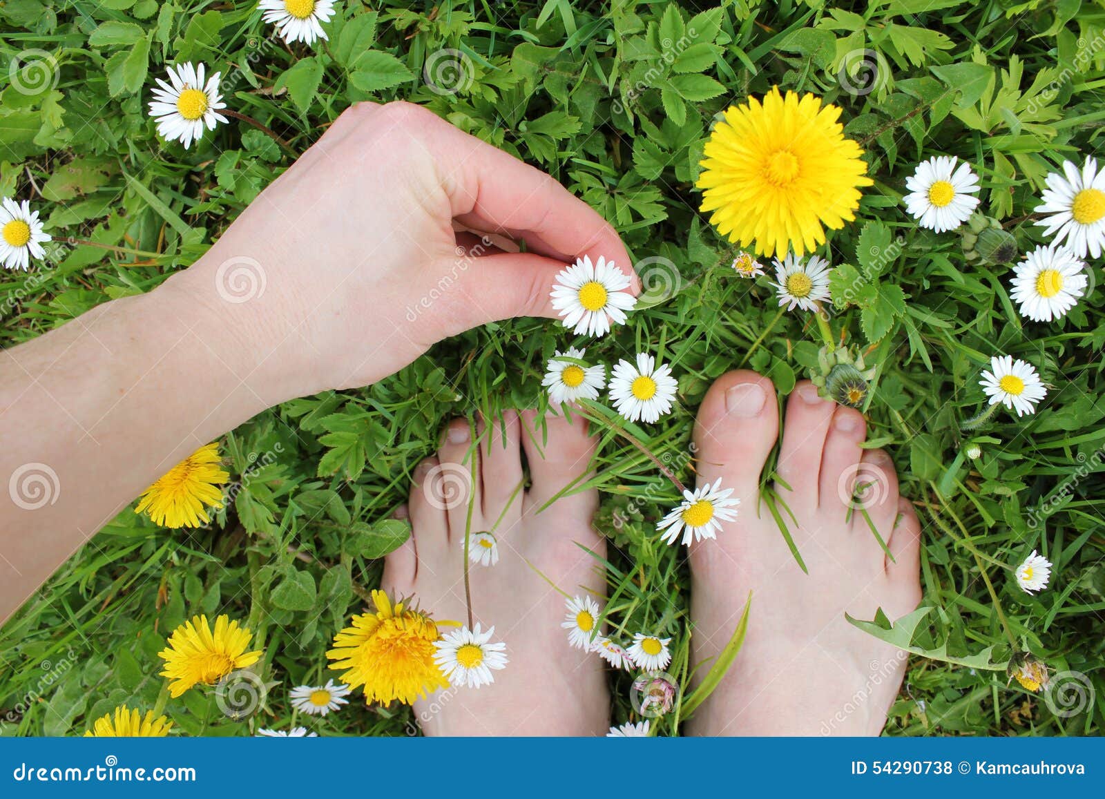 Bare Feet and Hand on Spring Grass, Flowers Stock Photo - Image of hand ...