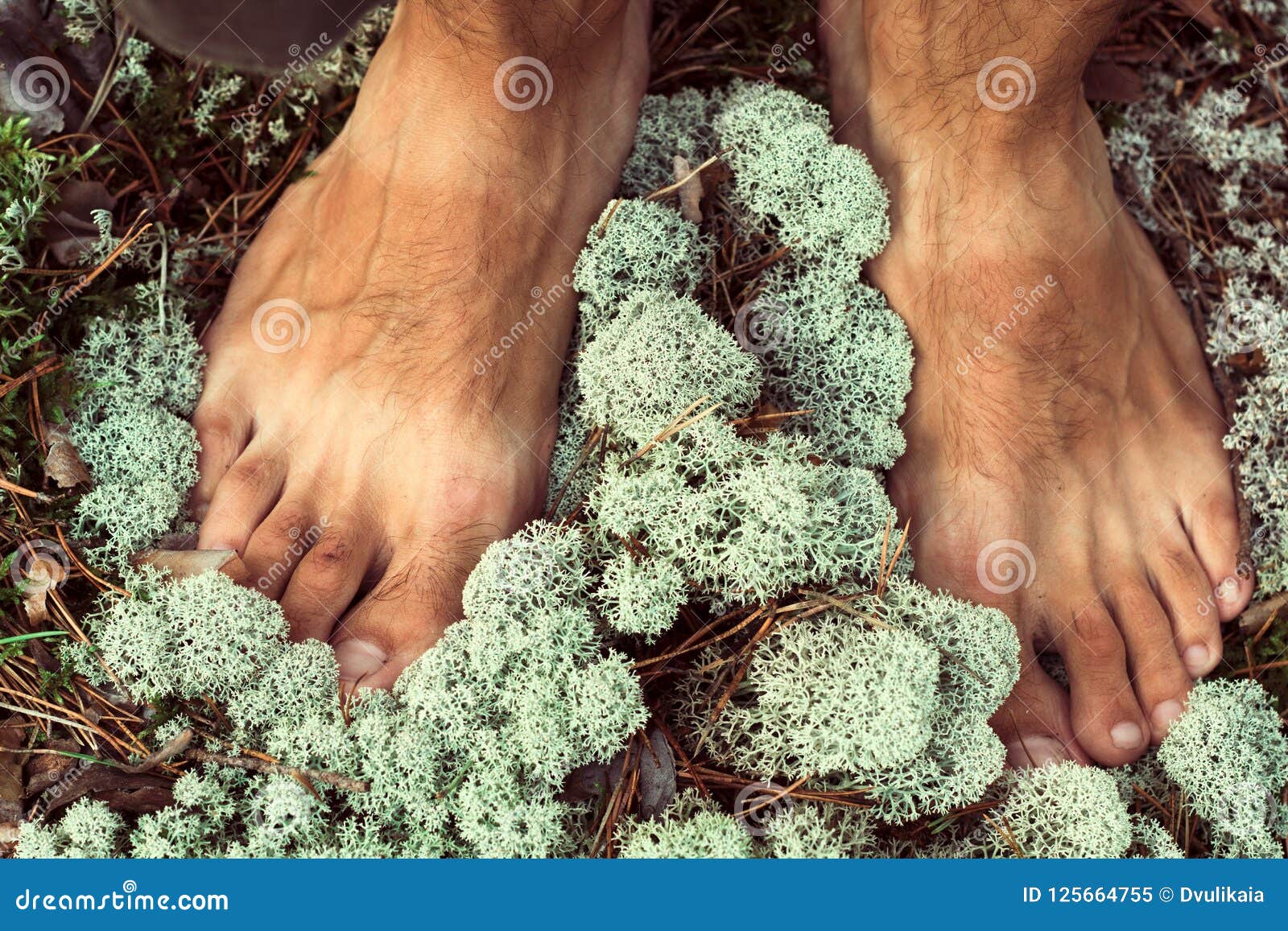 Bare feet on moss stock image. Image of beauty, feet - 125664755