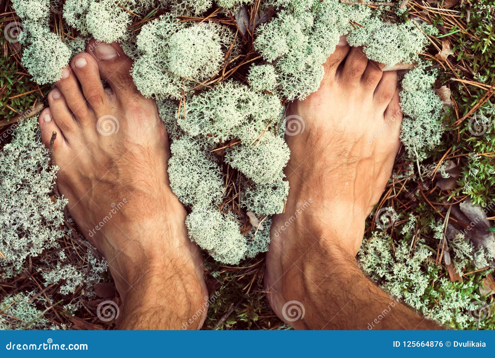 Bare feet on moss stock photo. Image of finger, agriculture - 125664876