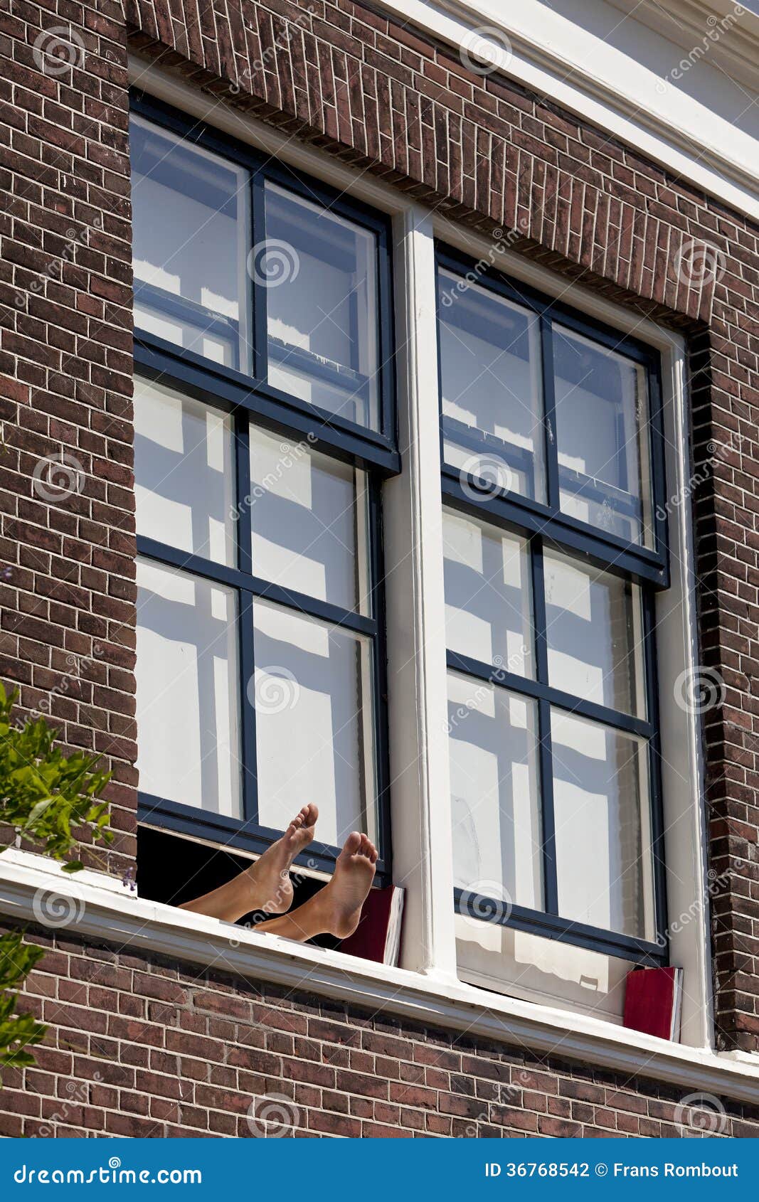 Bare Feet Out of the Window in the Sun Stock Photo - Image of ...