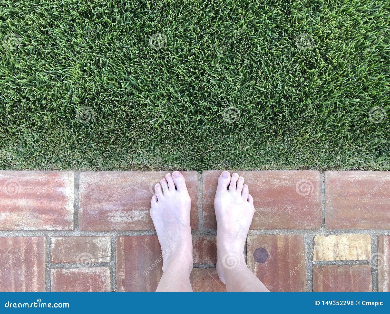 Bare feet on the path stock photo. Image of lawn, choices - 149352298