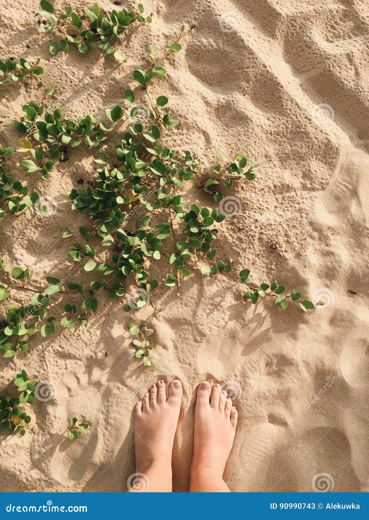 Bare feet in the sand stock image. Image of feet, bare - 90990743