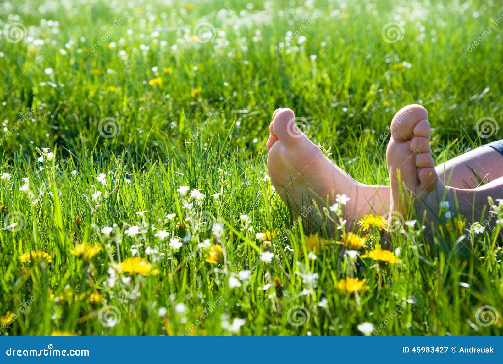 Bare feet on spring grass stock image. Image of barefoot - 45983427