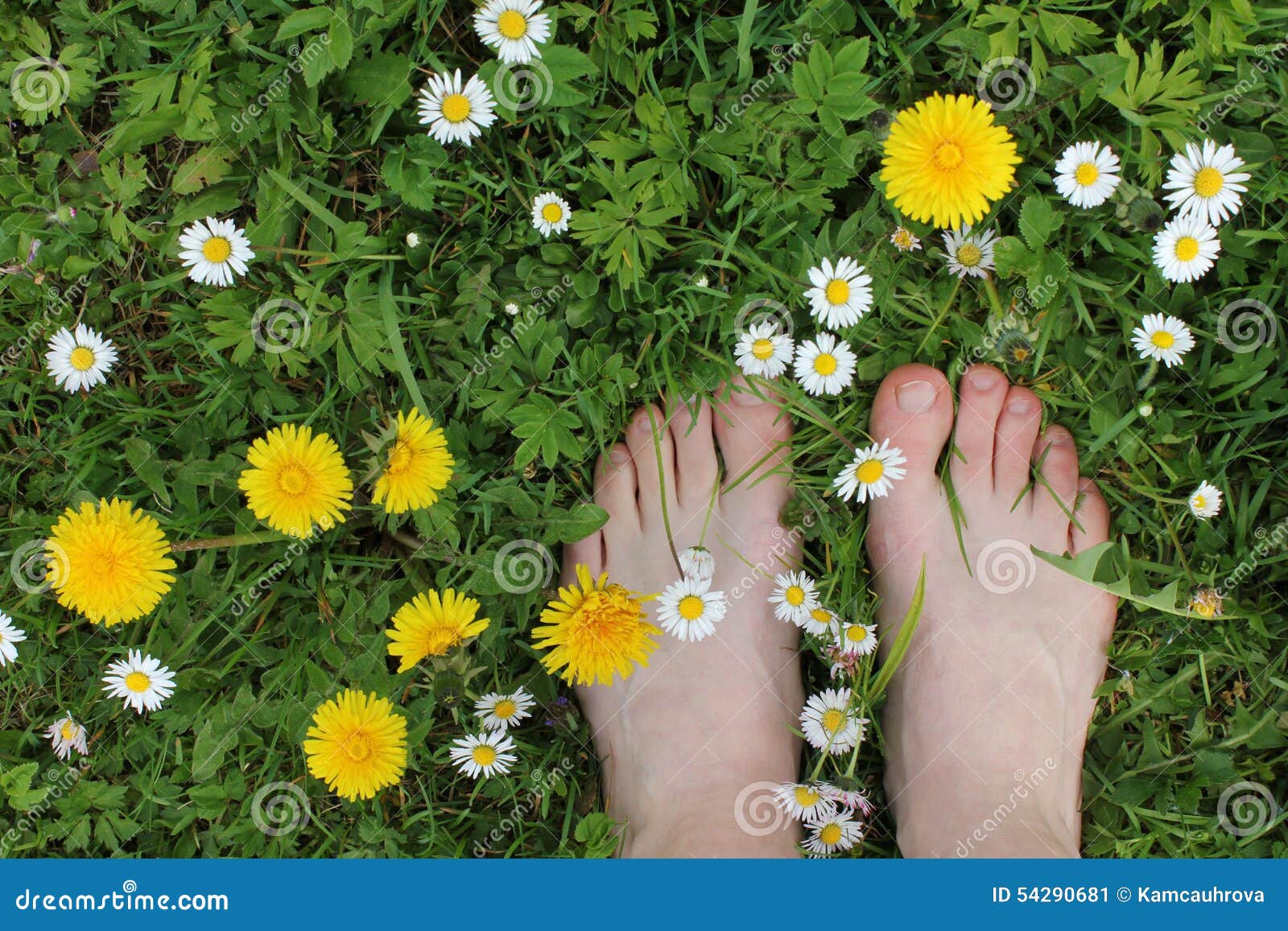 Bare Feet on Spring Grass, Flowers Stock Image - Image of sunny ...