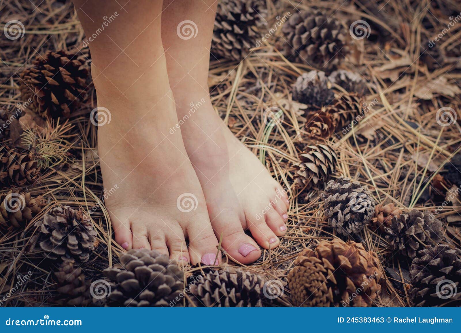 Bare Feet Surrounded by Pine Needles and Pine Cones Stock Image - Image ...