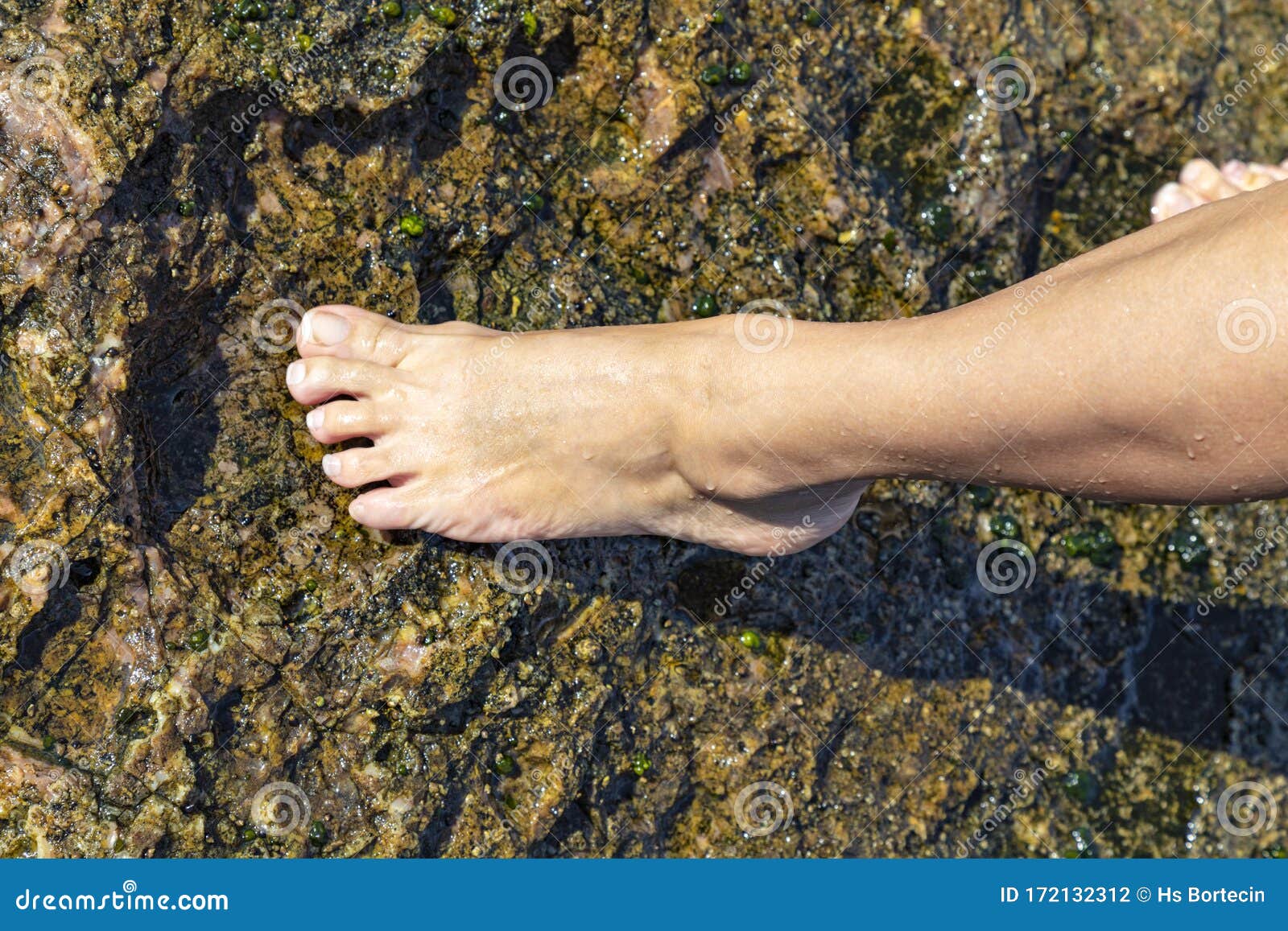 The Bare Feet of a Young Woman is on the Rocks. Stock Photo - Image of ...