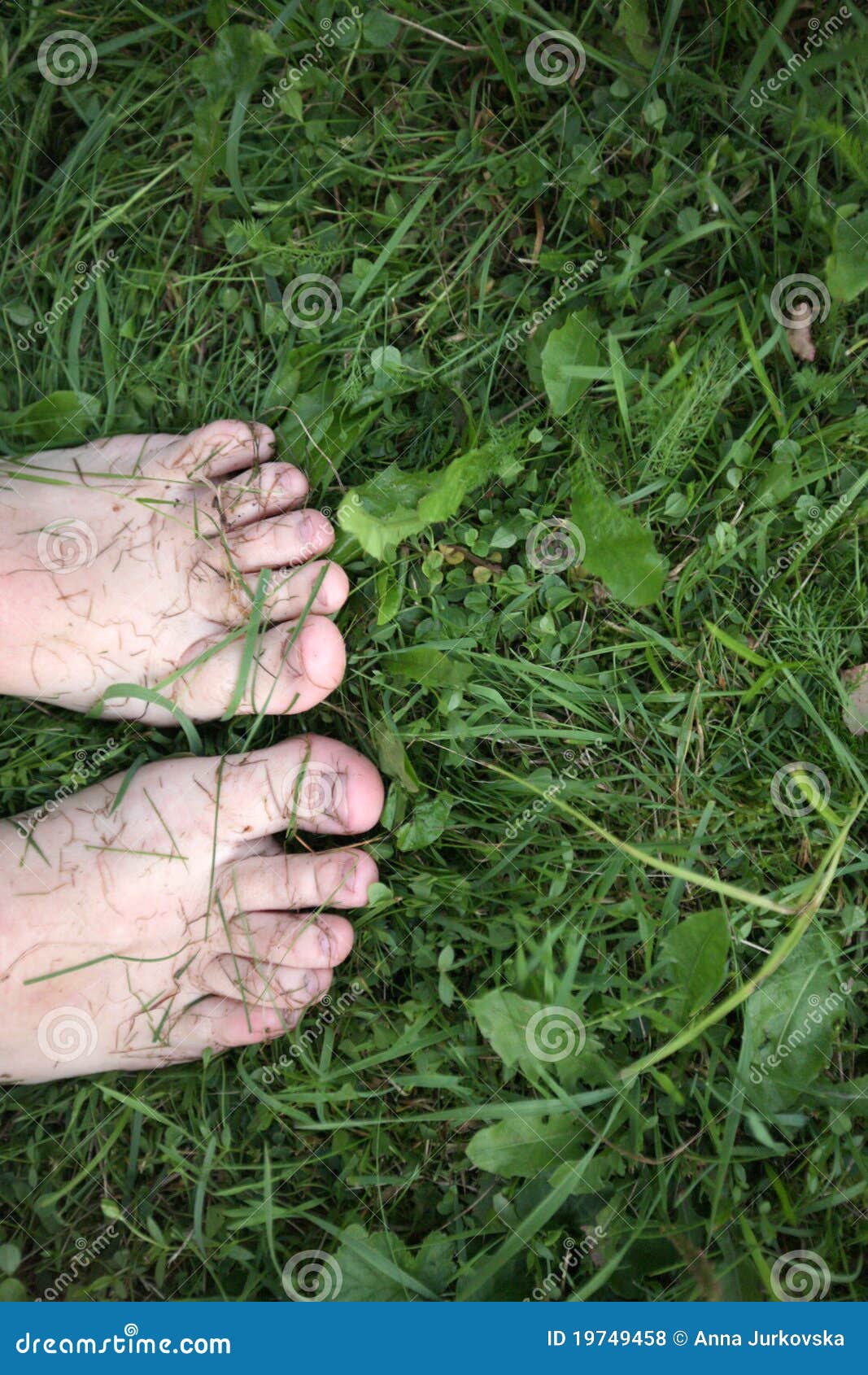 Bare Foot Un Green Grass Background Stock Photography | CartoonDealer ...