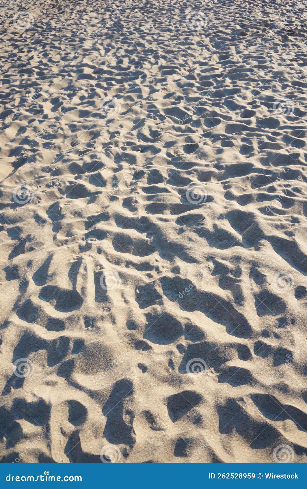 Bare Footsteps on the Sand on a Beach Stock Image - Image of relax ...