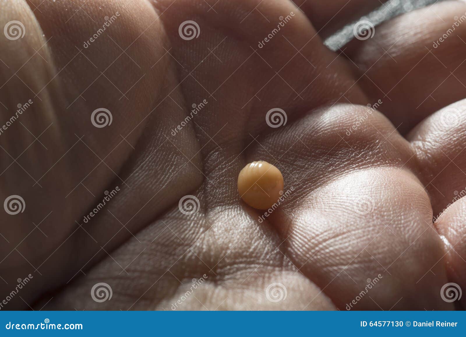 20,114 Bare Hand Stock Photos - Free & Royalty-Free Stock Photos from ...