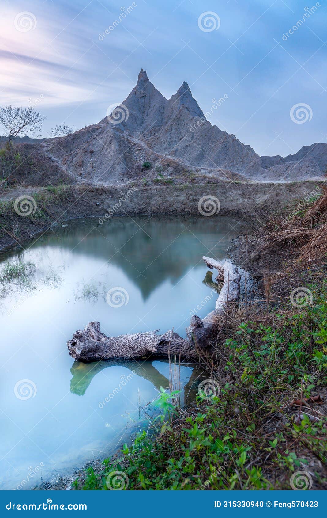 Bare Hills, Pools, Dead Tree Trunks, a Primitive Wilderness Scene ...