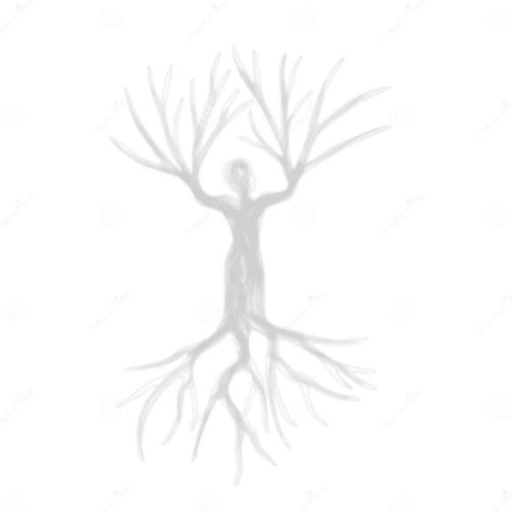 A Bare, Leafless Tree with a White Trunk in the Shape of a Human Body ...