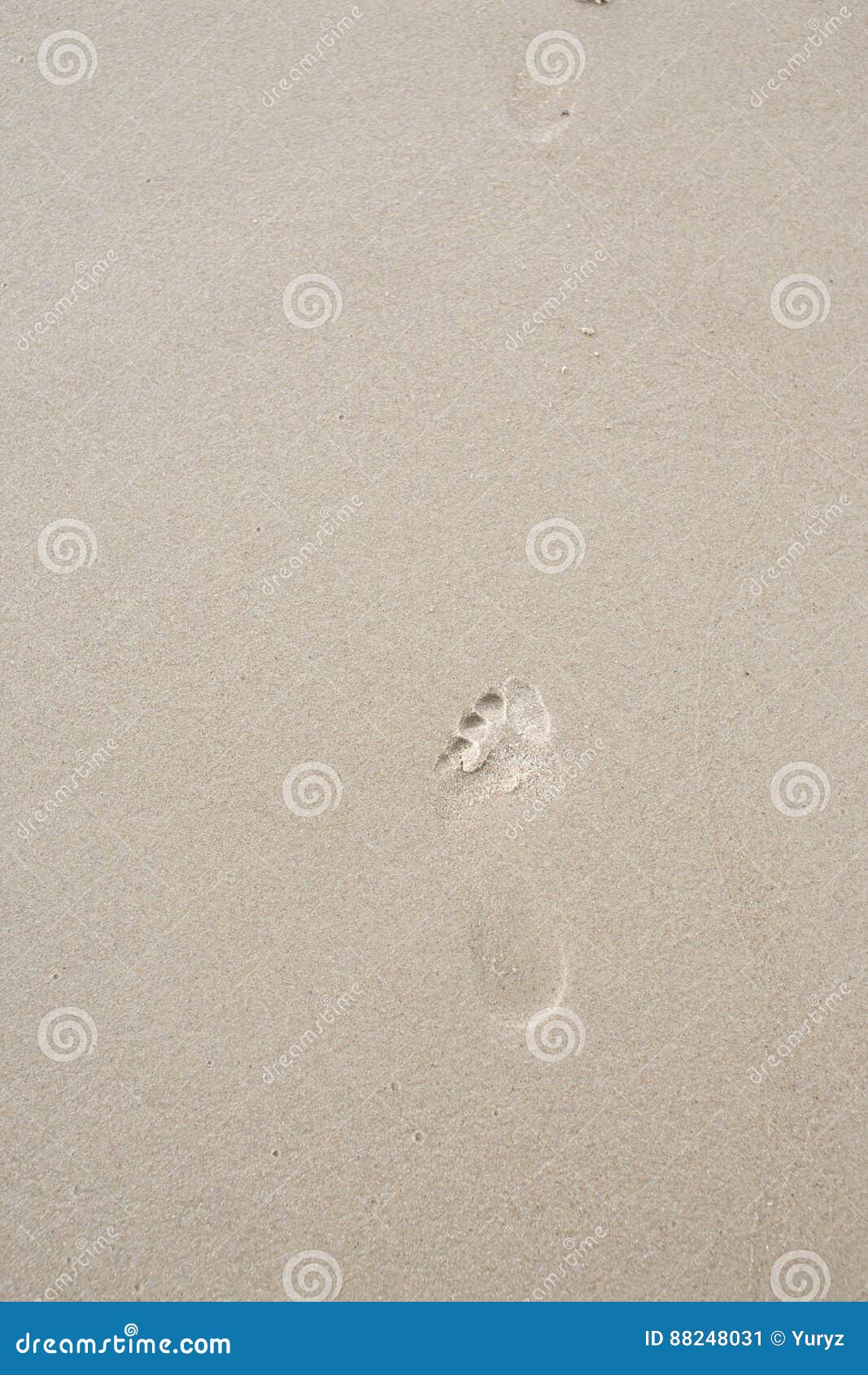 Bare sole sand imprint stock image. Image of barefoot - 88248031
