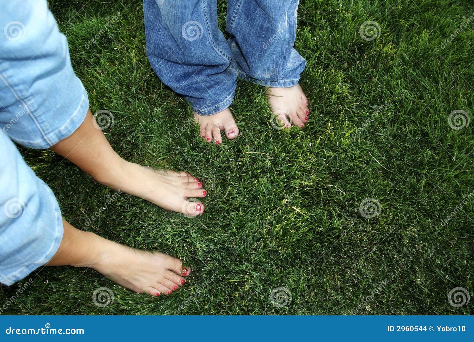 Bare toes on grass stock photo. Image of grassy, outdoors - 2960544
