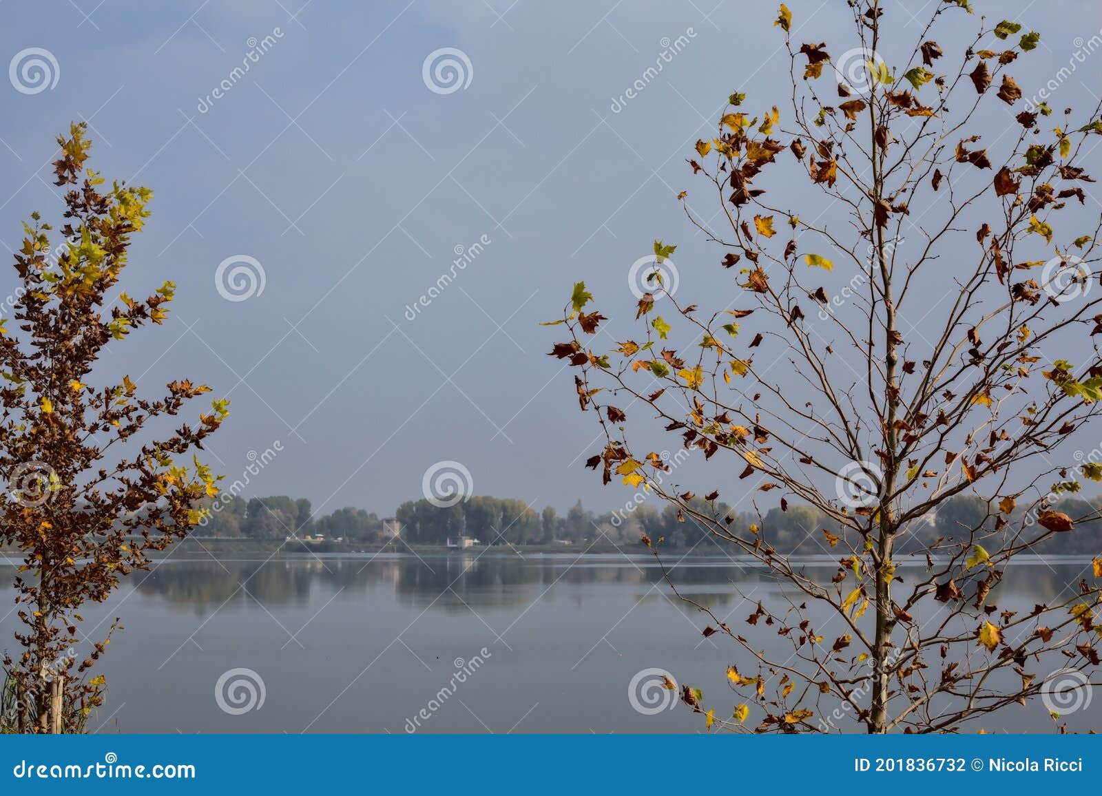 An almost Bare Tree in Autumn with a Lake As Background Stock Photo ...