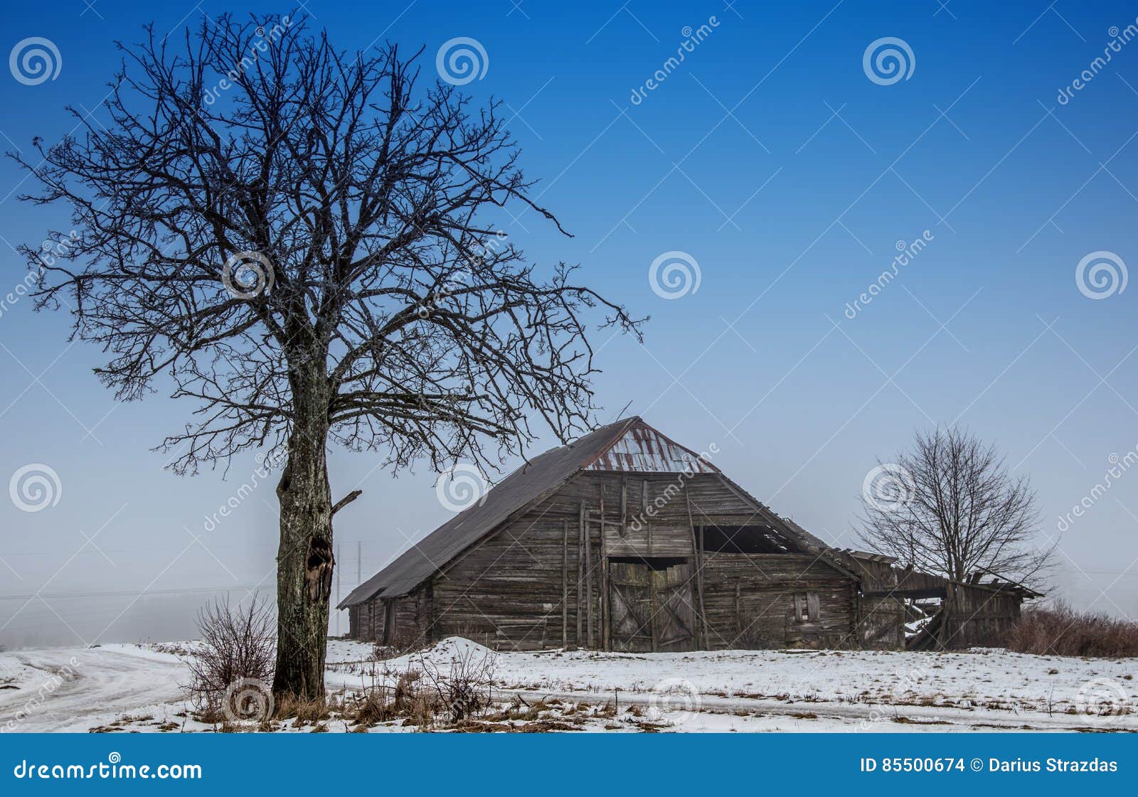 Bare tree and barn stock photo. Image of wooden, bare - 85500674
