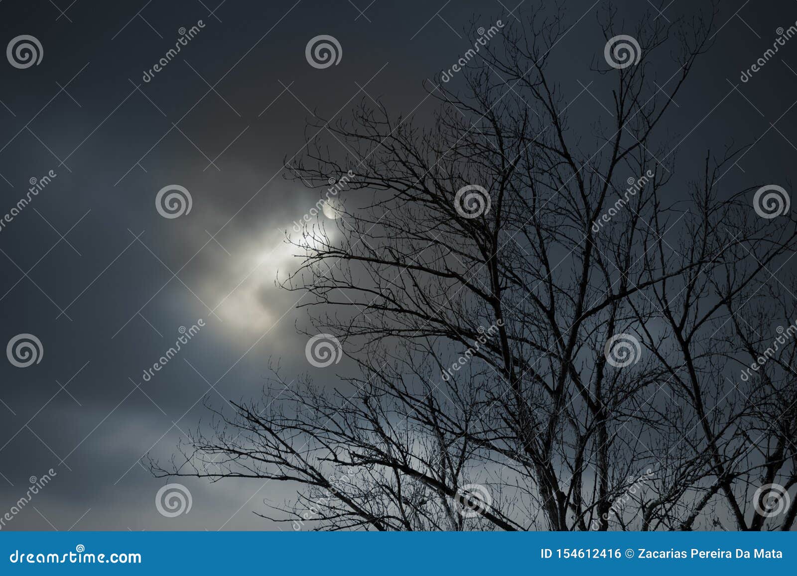 Bare Tree in a Cloudy Full Moon Night Stock Photo - Image of bright ...