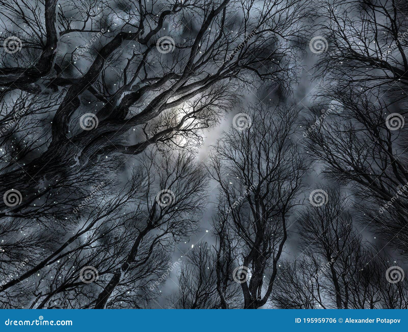 Bare Tree Branches at Dark Wnter Night Stock Photo - Image of full ...