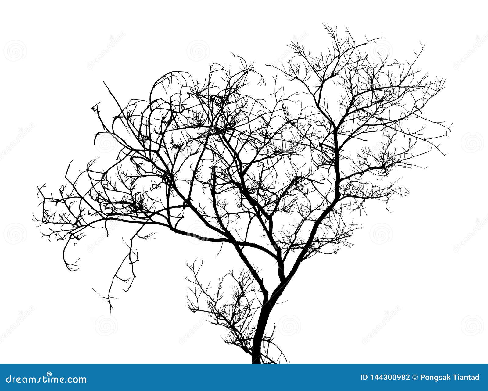 Silhouette Crooked Tree Branches Stock Illustrations – 123 Silhouette ...