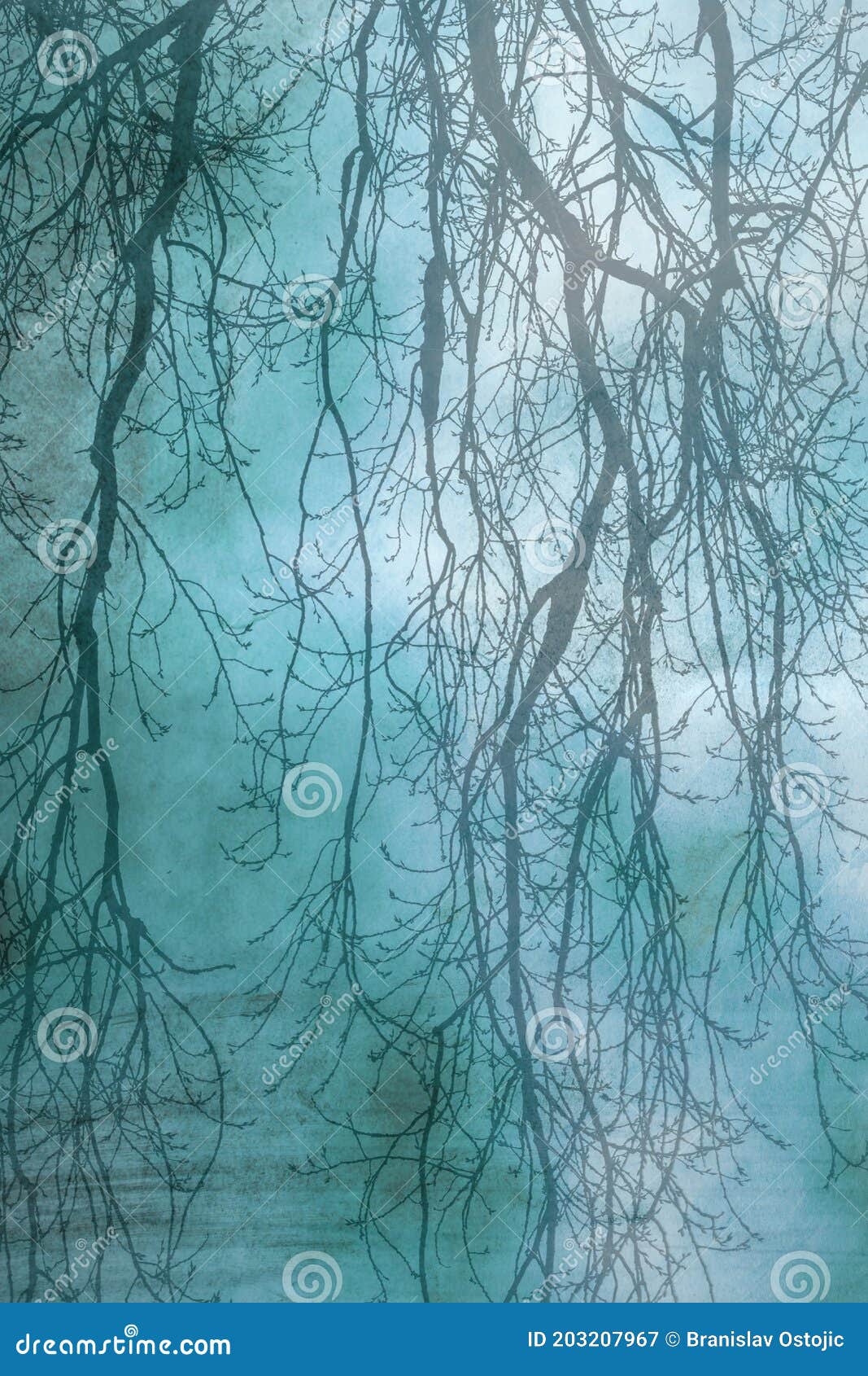 Bare Tree Branches with Texture Abstract Background Stock Image - Image ...