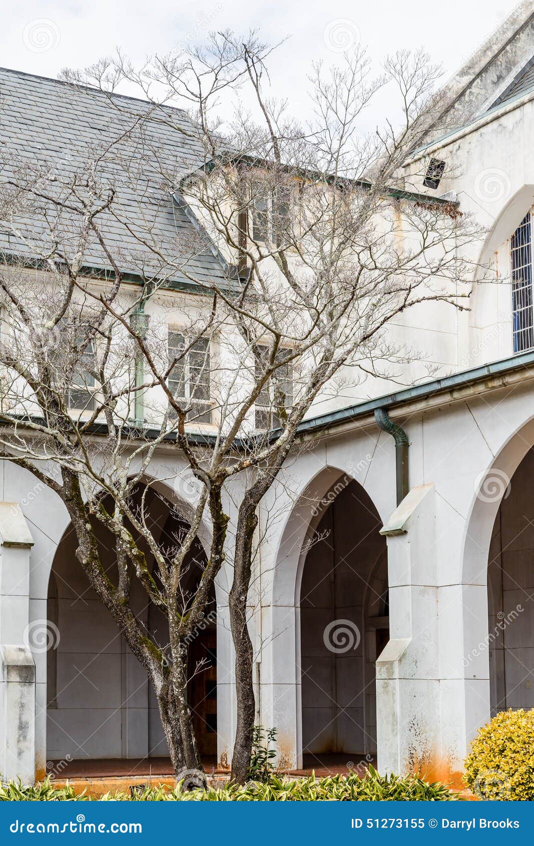 Bare Tree by Corner Arches stock image. Image of building - 51273155
