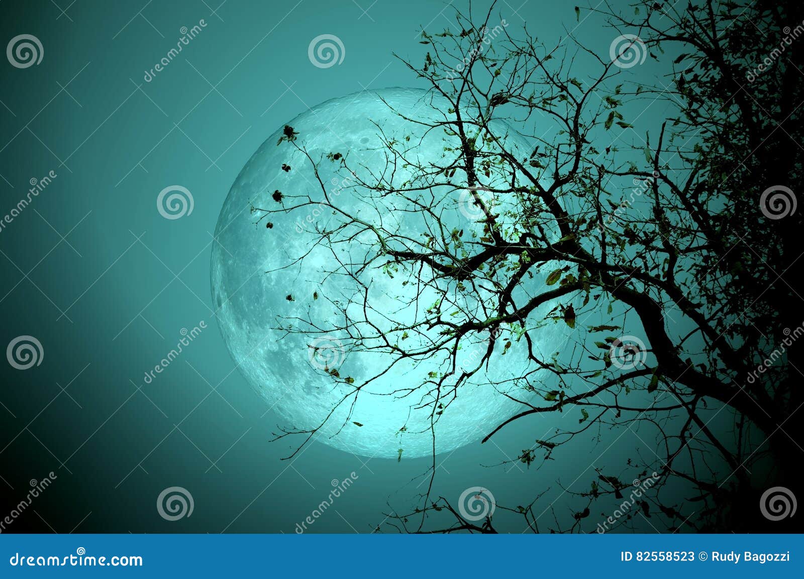 Bare Tree on Full Moon at Night. Elements of this Image Furnished by ...