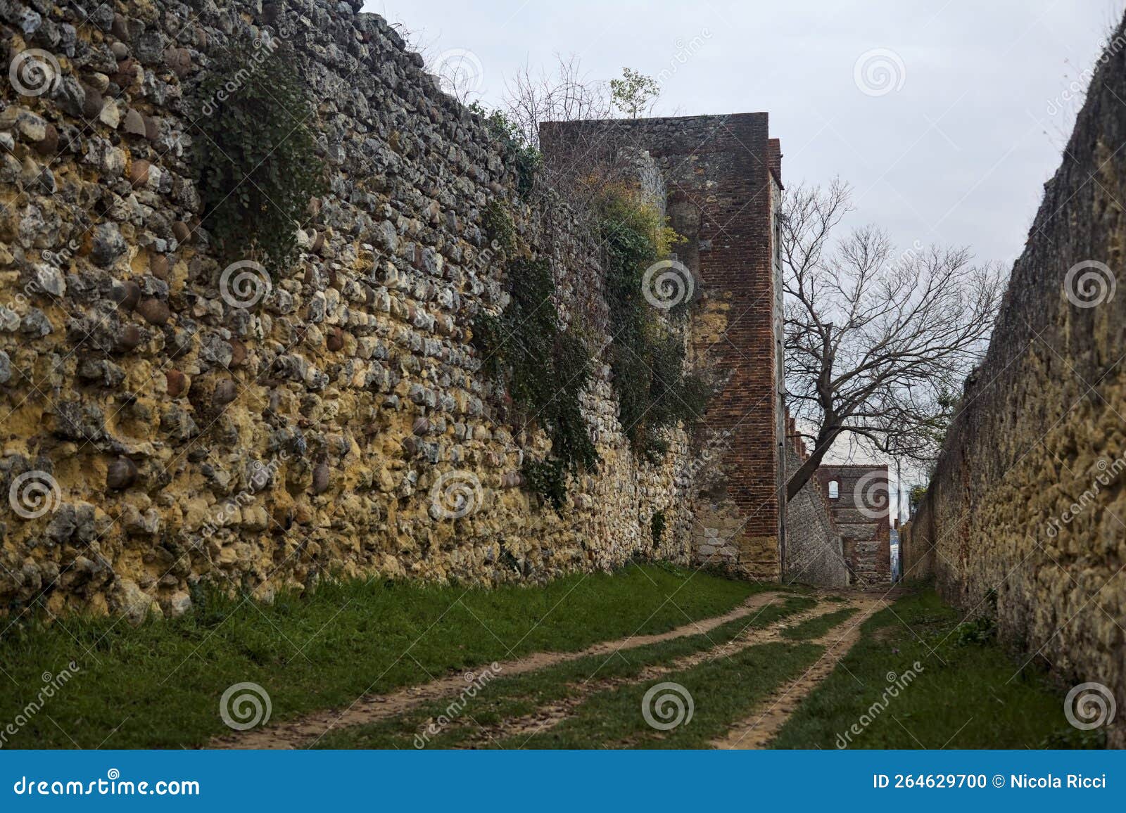 Bare Tree Growing Sideways on a Dirt Path Bordered by Fortifications on ...