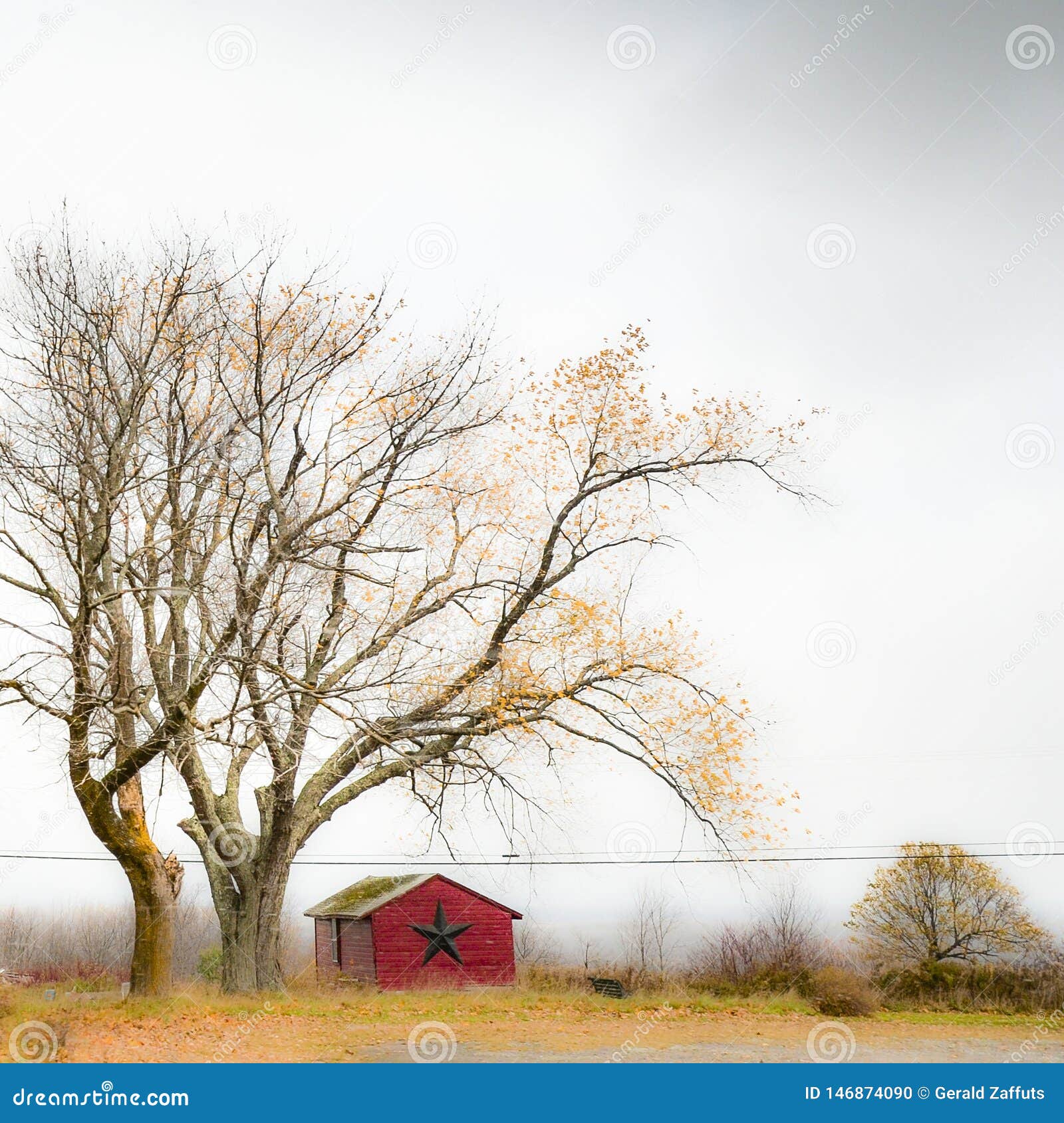 Bare Tree Overhanging Out Building in Early Spring Stock Photo - Image ...