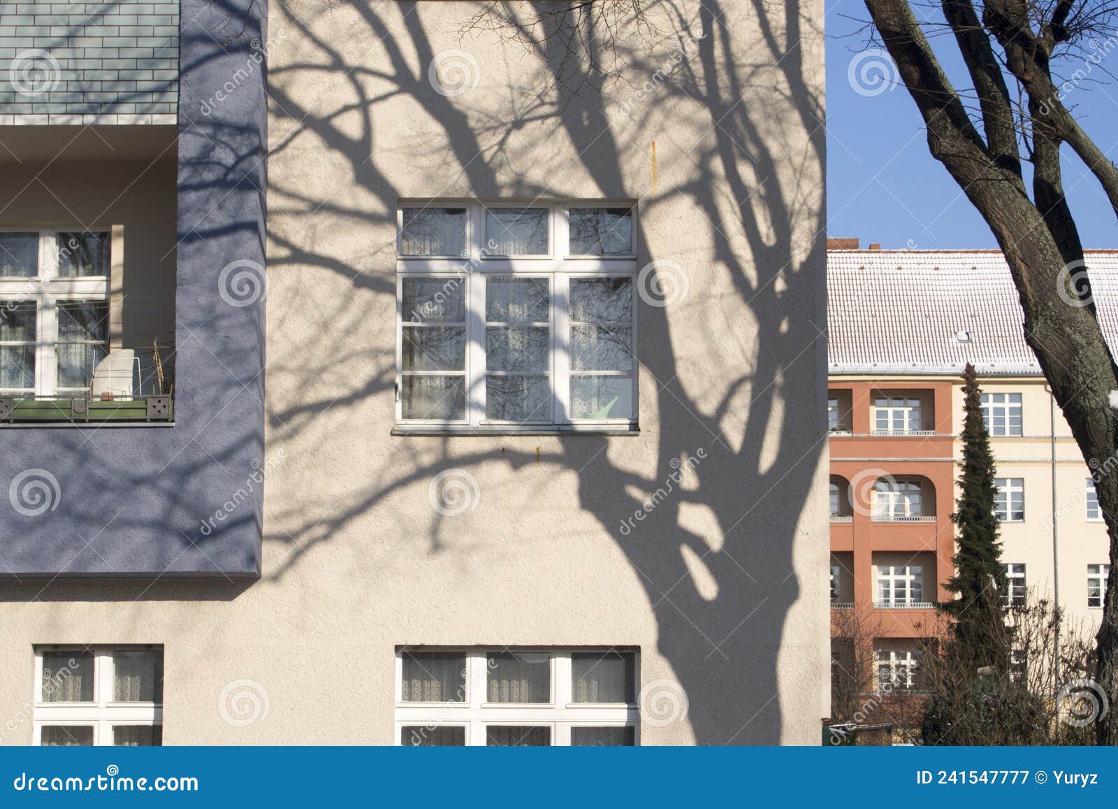 Tree shadow on building stock image. Image of shadow - 241547777