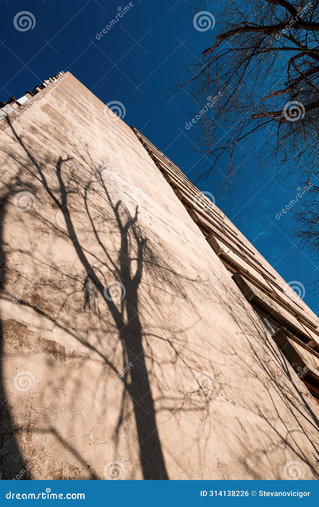 Bare Tree Shadow on Concrete Building Wall in Winter Stock Photo ...