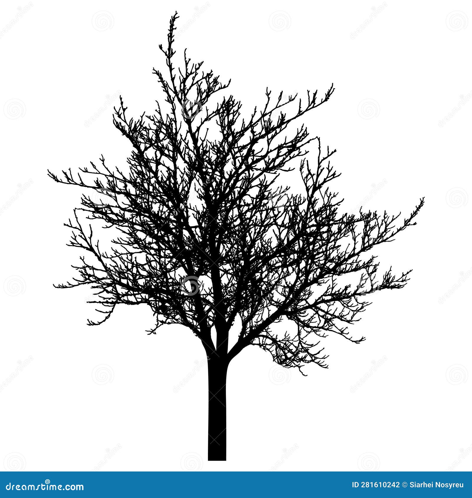 Bare Tree Silhouette. Beautiful Leafless Tree Stock Vector ...