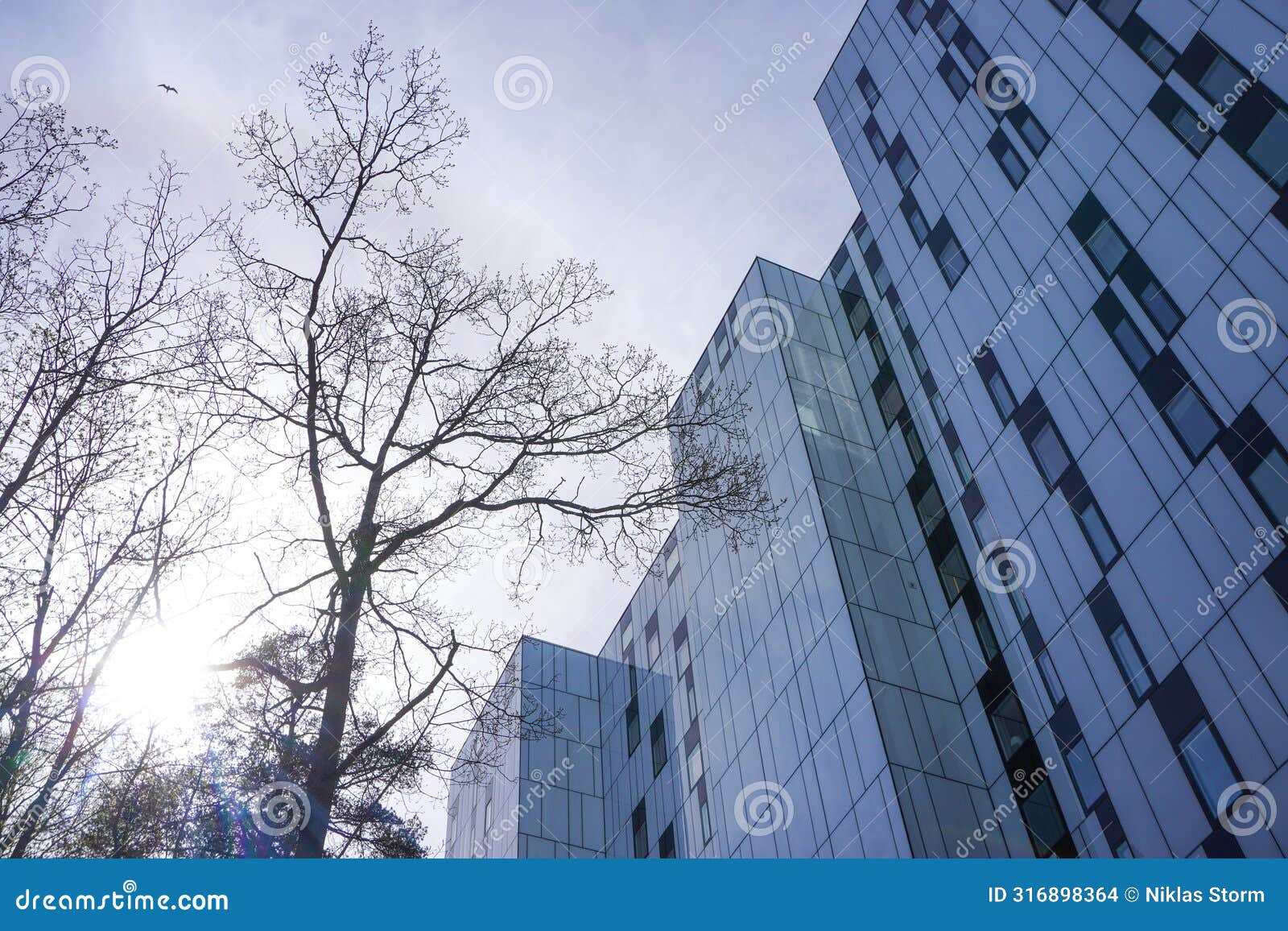 A Bare Tree Standing Next To a Modern Building Stock Photo - Image of ...