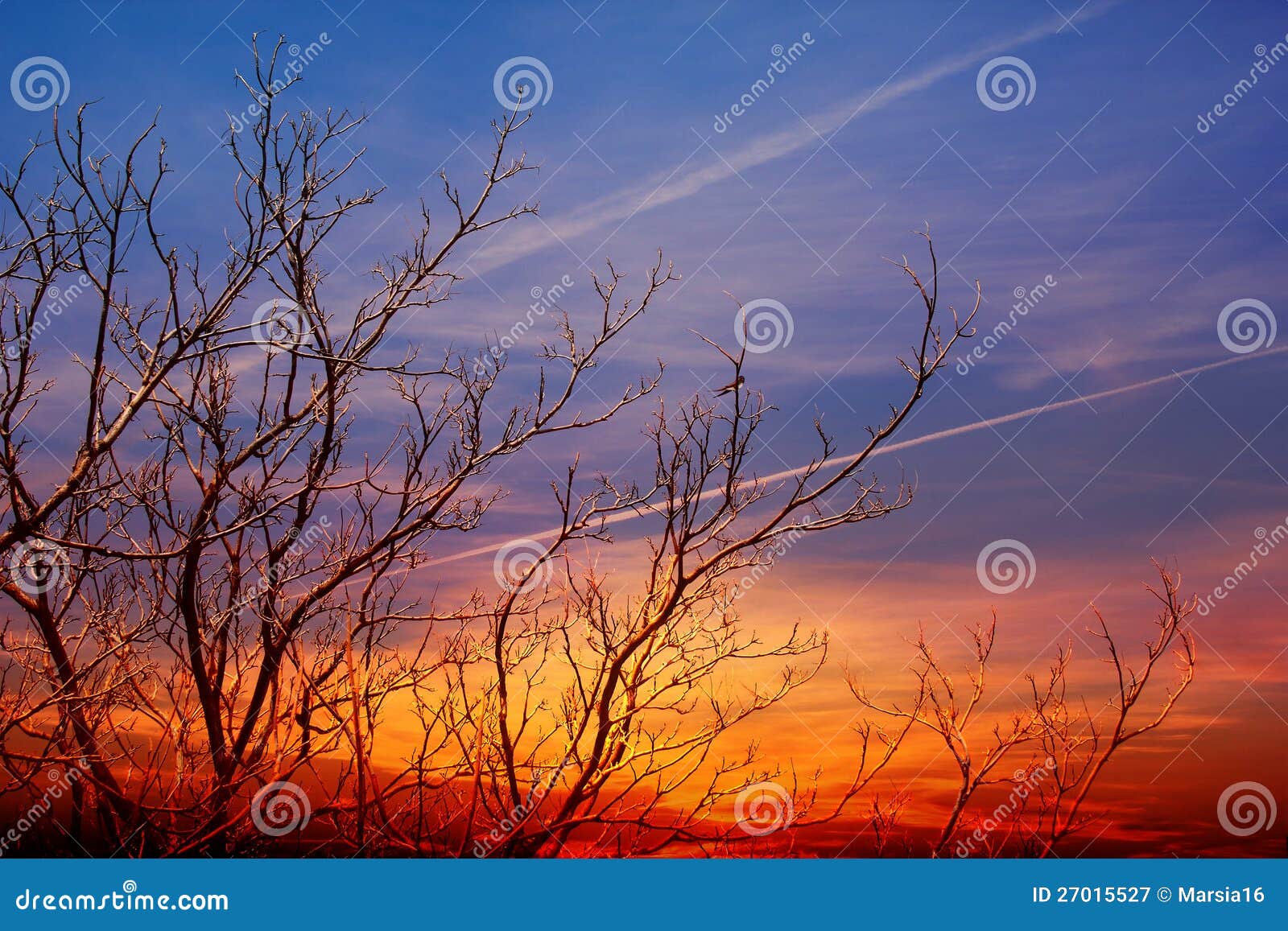 Trace From A Bare Foot In The Sand Royalty-Free Stock Photo ...