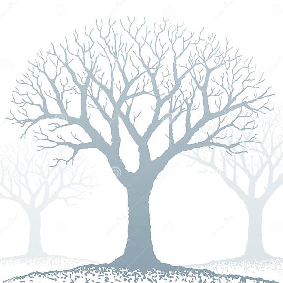 Bare tree (vector) stock vector. Illustration of isolated - 7565544